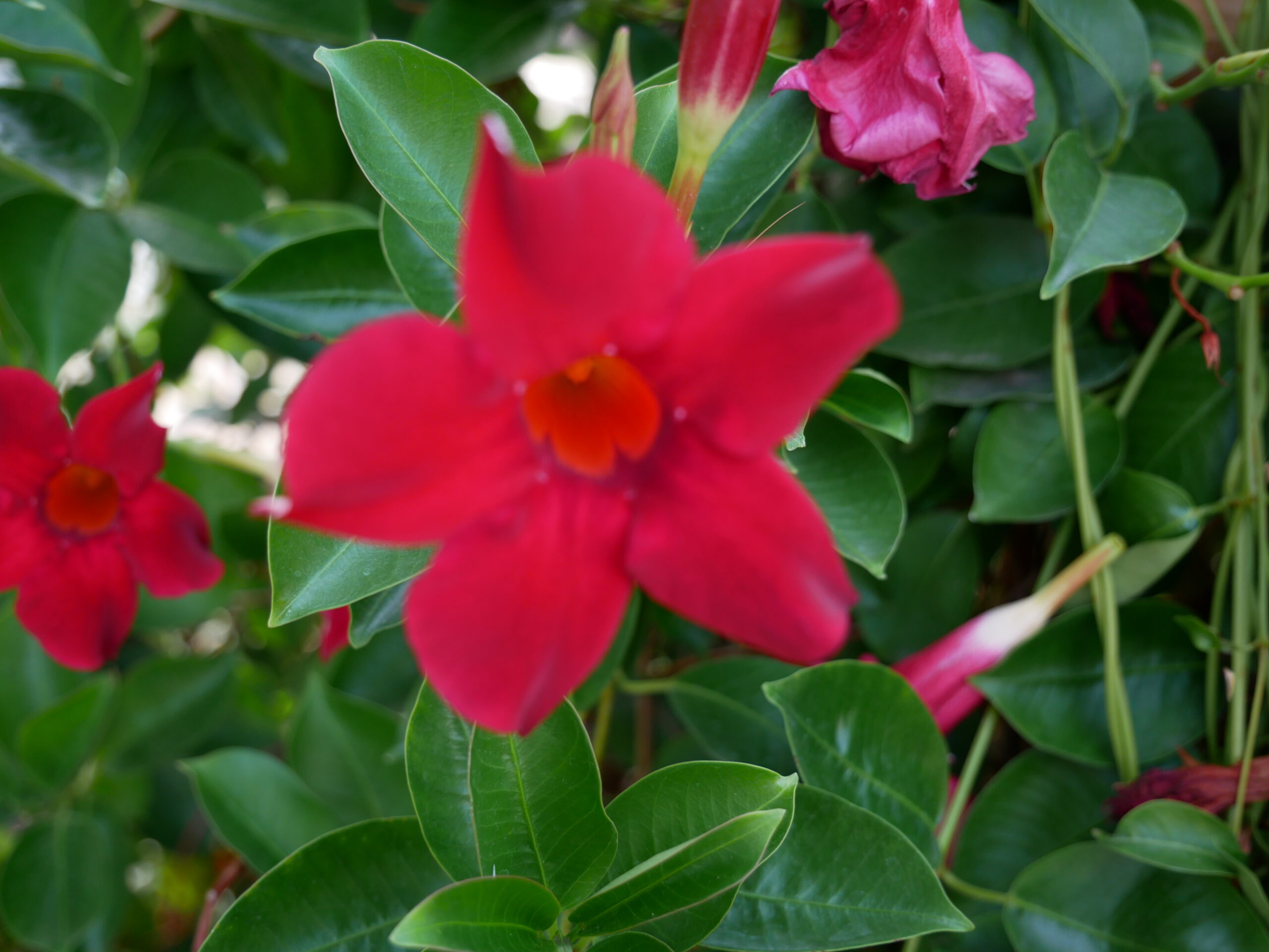 + Der goldene Schnitt + - HEBISCH IMMOBILIEN